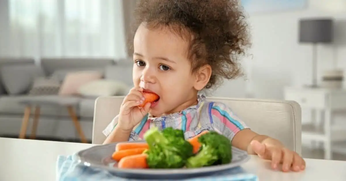 Meal Guidelines for Growing Children: Understanding Red, Yellow, and ...